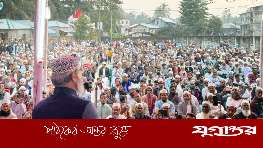দেশকে ভারতীয় আগ্রাসন থেকে মুক্ত করতে বাঘের মতো লড়াই করব: মাসুদ সাঈদী